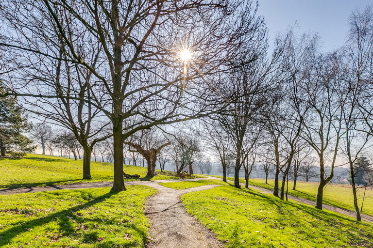 Living in Willesden Green - Area Guide | Marsh & Parsons